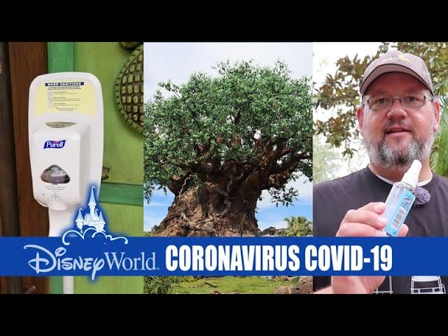 Walt Disney World Resort - What's Going On With The Coronavirus COVID ...